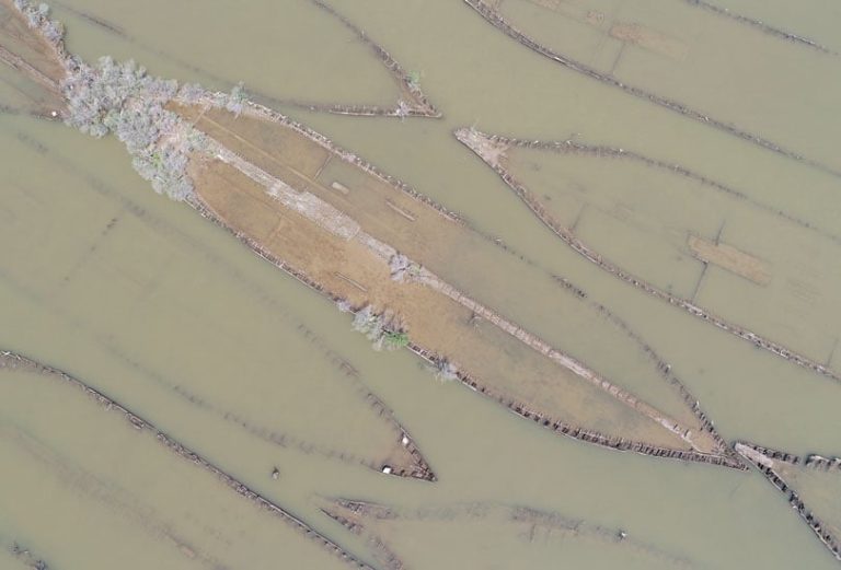 Explore the Mallows Bay Ghost Fleet, a Ship Graveyard