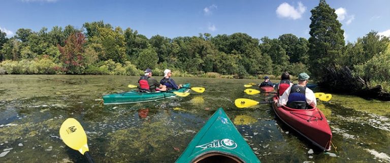 Explore the Mallows Bay Ghost Fleet, a Ship Graveyard