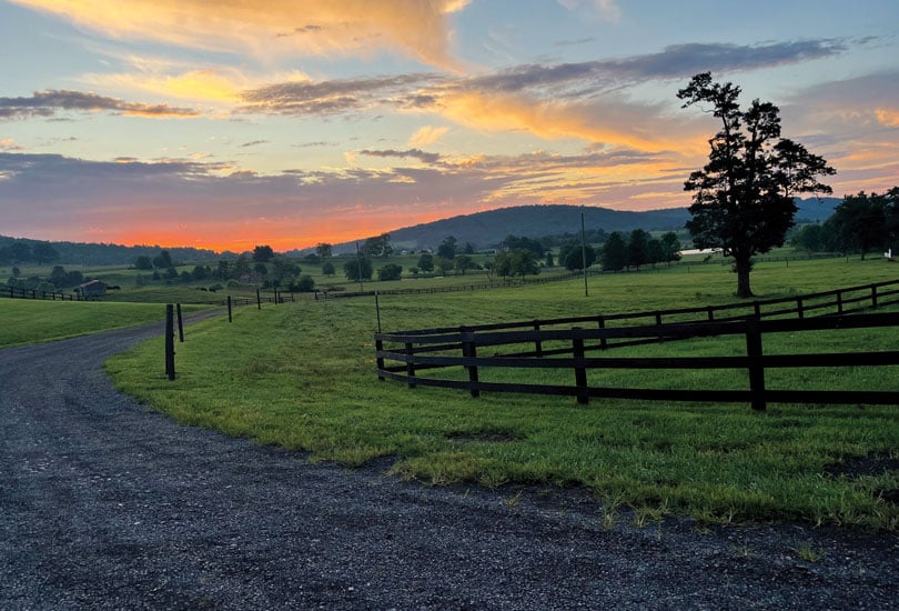Where to Buy Premium Wagyu Beef - Ovoka Farm in Paris, Virginia