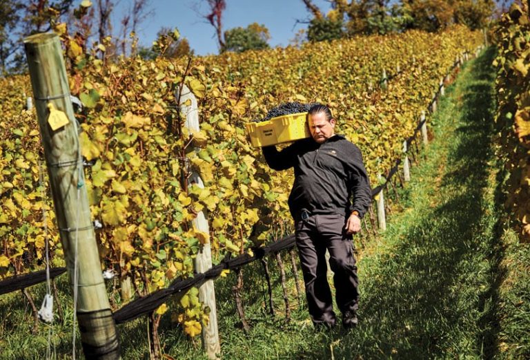 Visit Crimson Lane Vineyards, a New Winery in Linden, Virginia