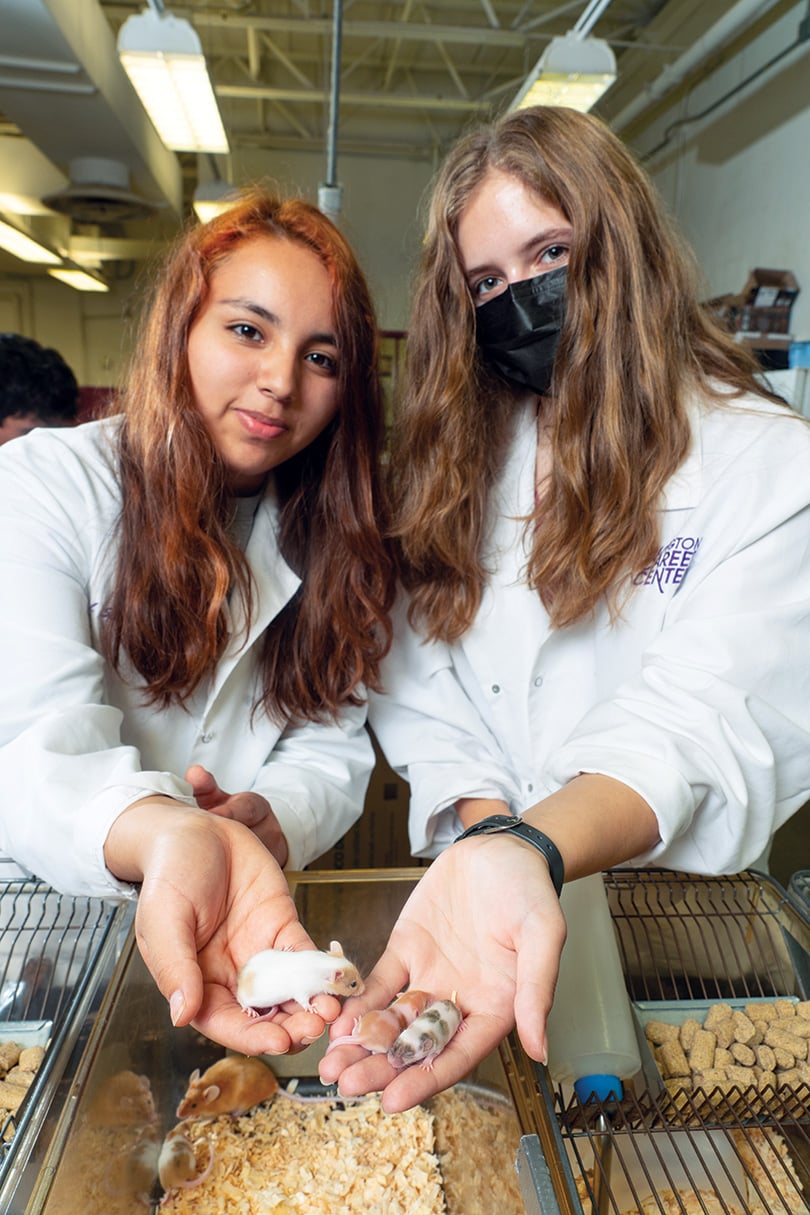 Arlington Tech High School in Arlington, VA - What Is It All About?