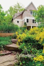 Embrace the Rain: How and Why Planting a Rain Garden is a Good Idea
