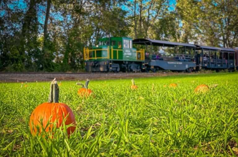 The Best Mid-Atlantic Train Rides for Taking in the Fall Foliage