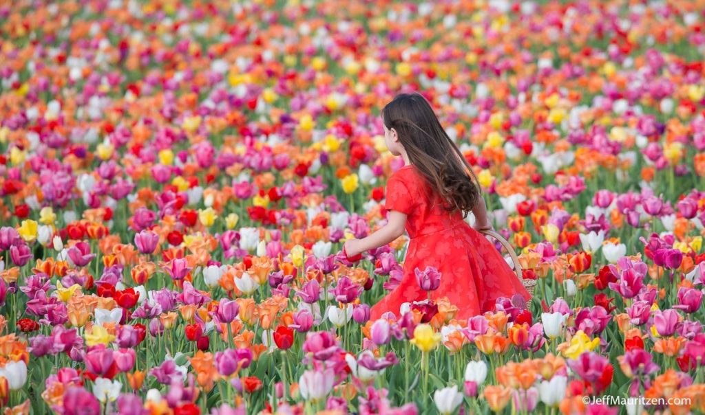 10 Spring Things to Do With Kids In and Around the DMV