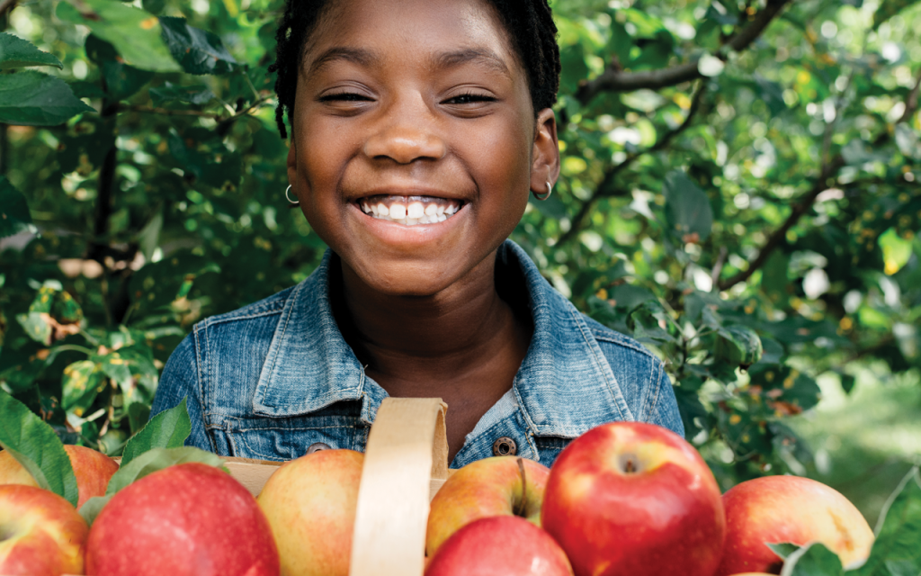 Pick Your Own Fruits and Veggies at These D.C.-Area Farms