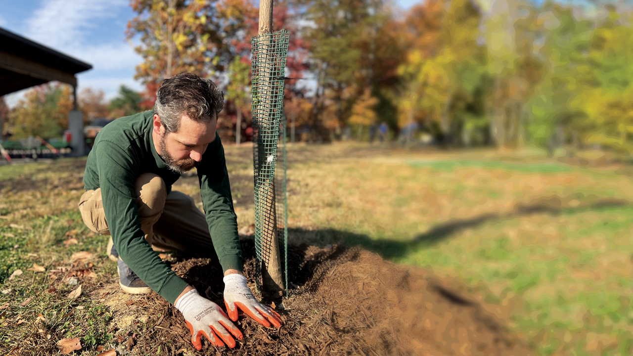 These Tree Lovers Are Protecting Arlington's Leaf Canopy