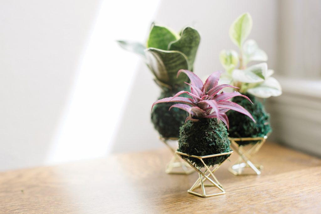 Shop These Locally Made Gifts for Nature Lovers