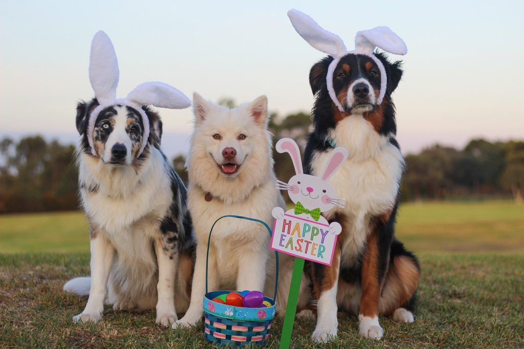 13 Egg-citing Easter Egg Hunts In and Around Arlington, VA
