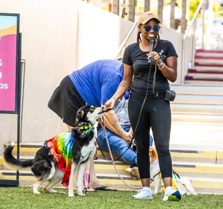 17 Ways to Celebrate Pride Month In and Around Arlington, VA