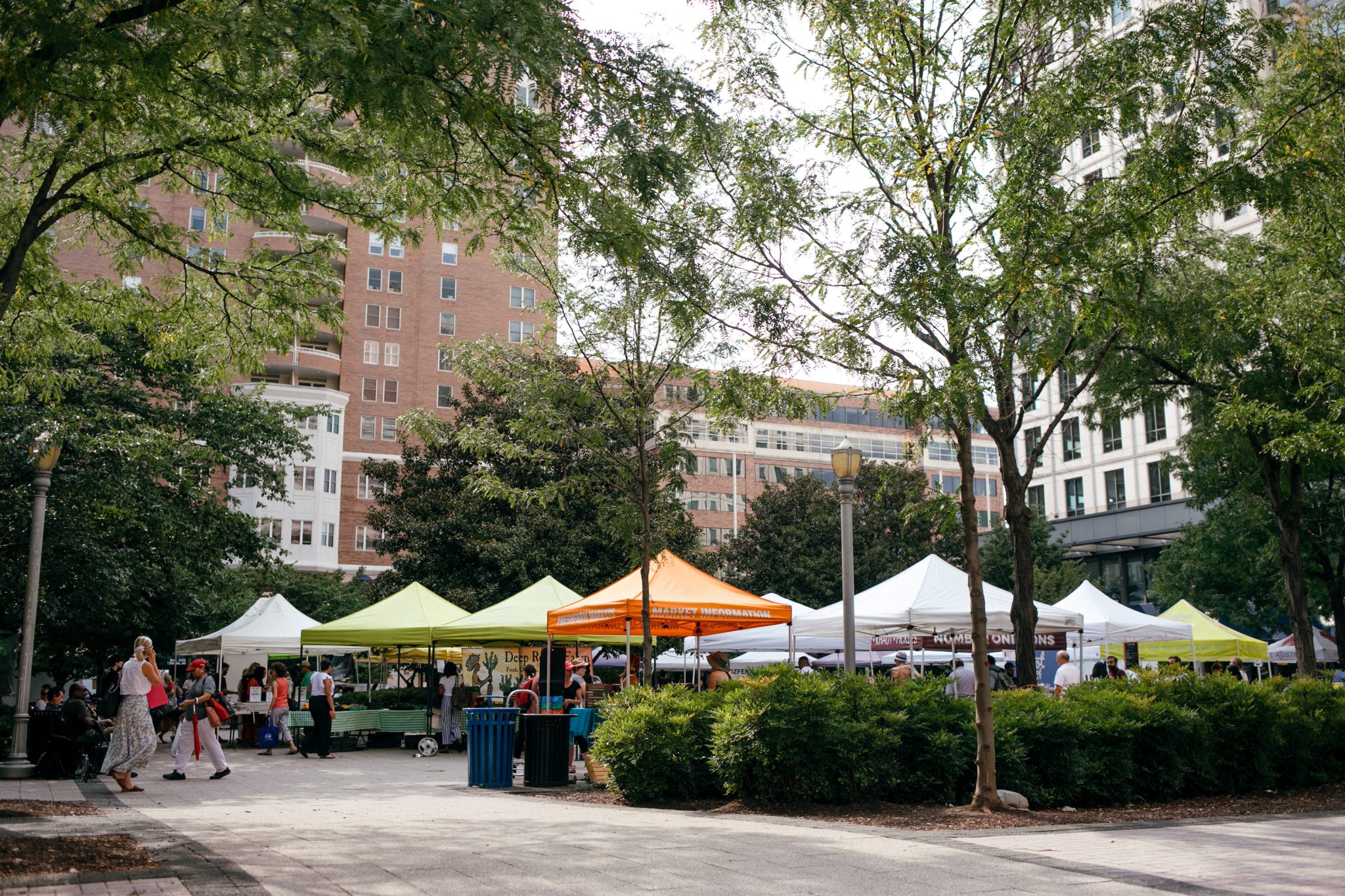 The Best Farmers Markets In and Around Arlington, VA