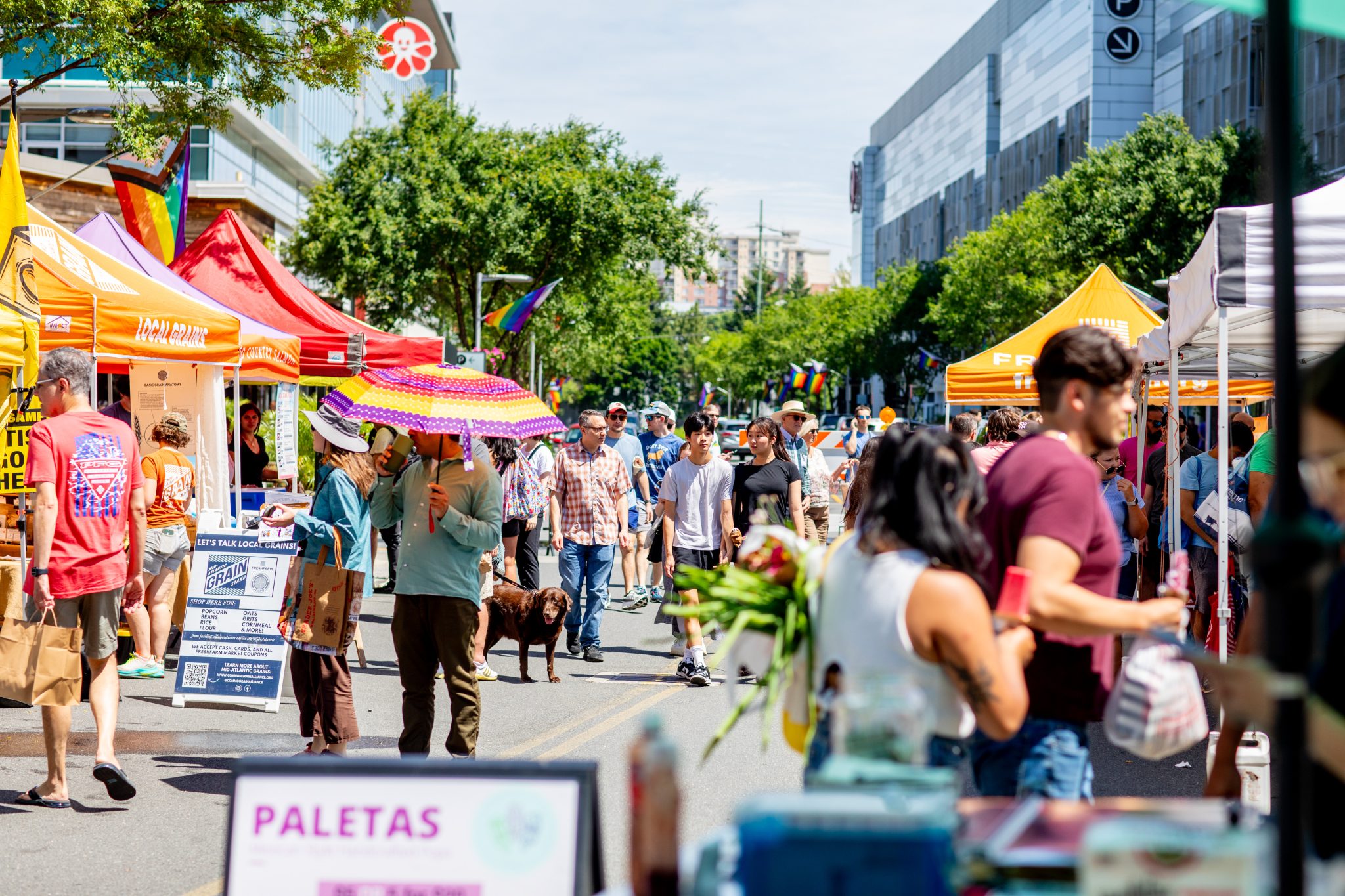The Best Farmers Markets In and Around Arlington, VA