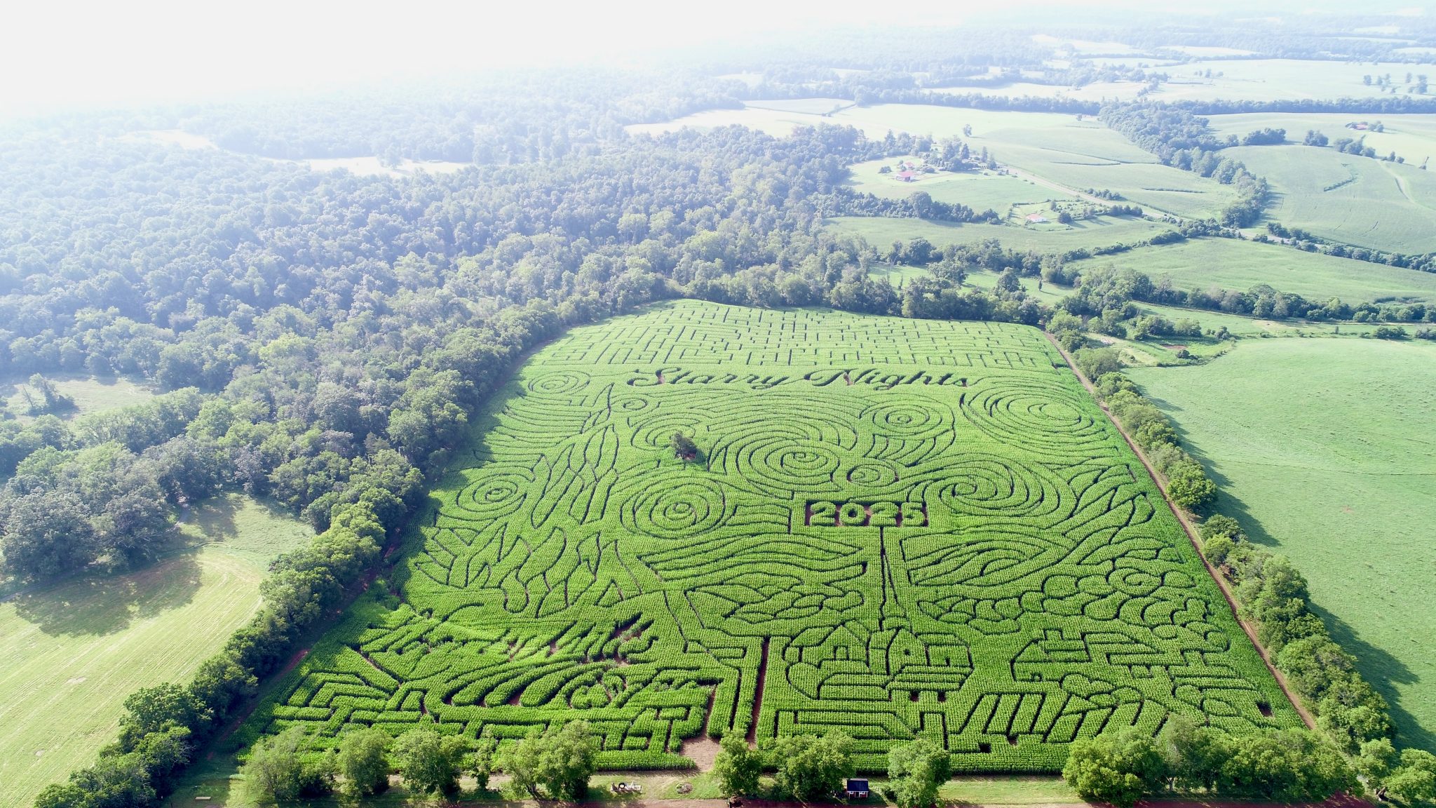 Take the Kids to These DMV Corn Mazes and Pumpkin Patches