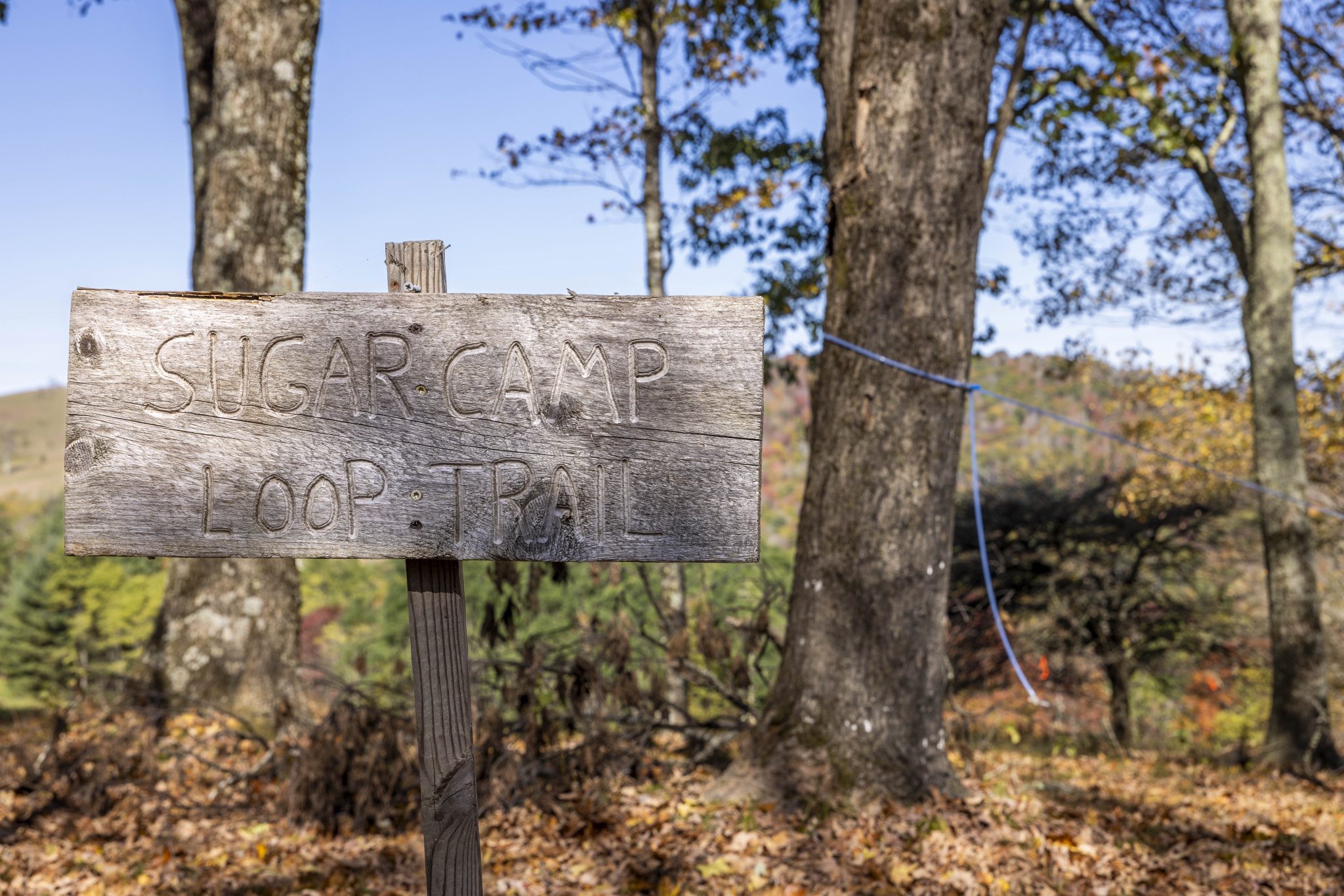Virginia's Maple Syrup Trail Is Small-Town Sweet